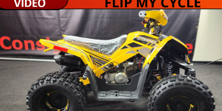 The 2024 Denago Trailhawk The Ultimate Youth Quad for Looks and ...